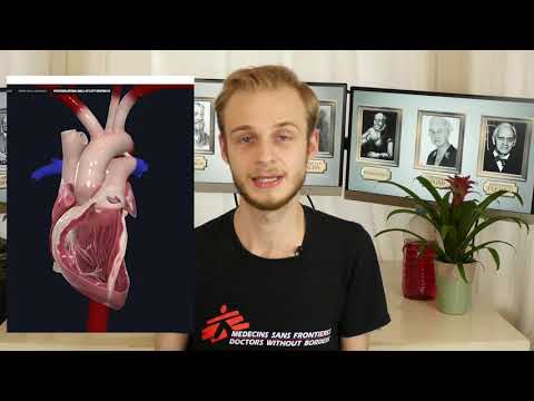 How You Can Help Support My Channel | PostGradMedic