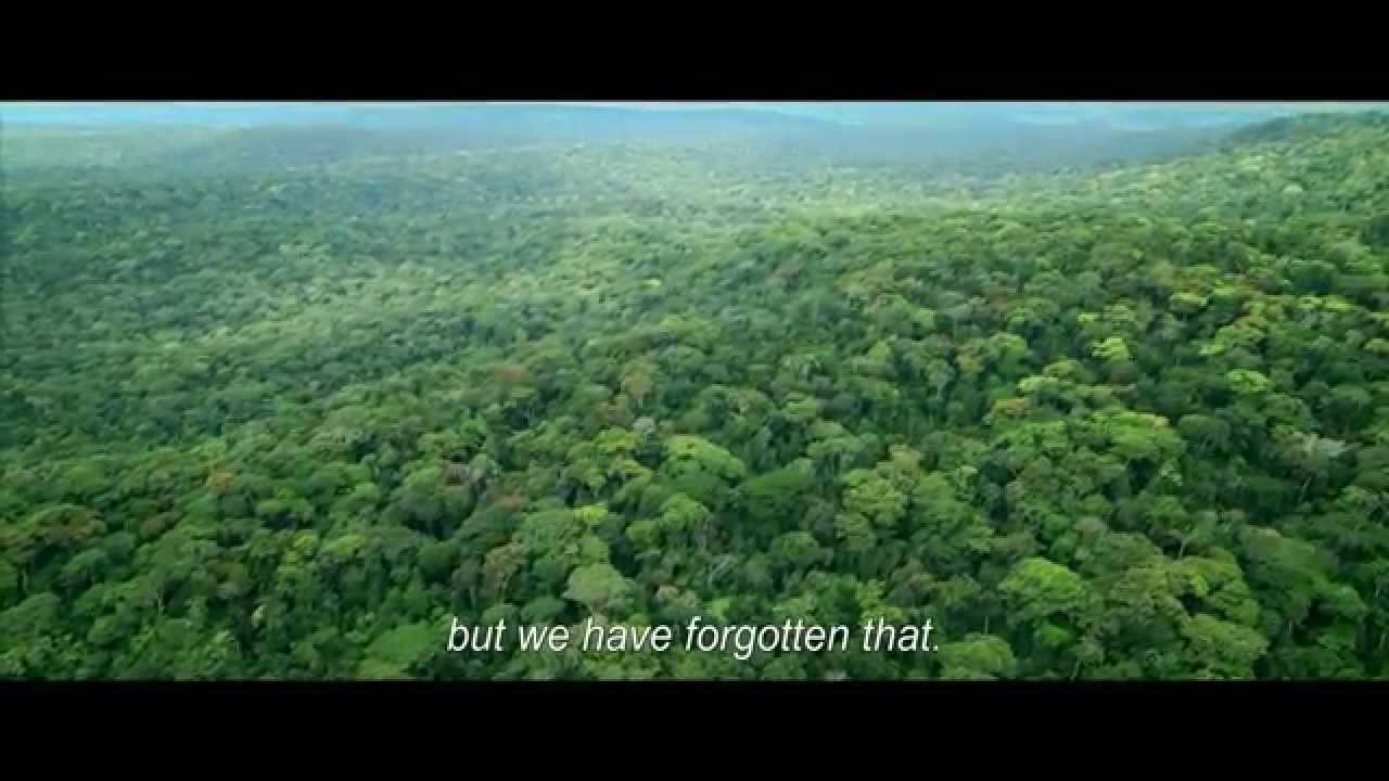 AFFFF2015 - ONCE UPON A FOREST TRAILER