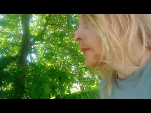 Juhlija Henki - Dieying Humans, Green Tree Field, Nar Poem {2025}