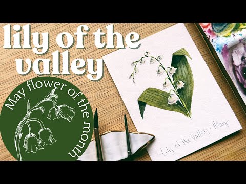 Watercolor Lily of the valley - May birth month flower