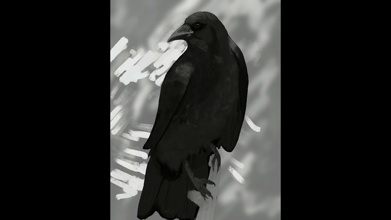 #crow digital painting #procreate #timelapse