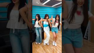 [마플] QWER 사건 라이즈 팬들 심정 백번 이해함 ㅇ - 인스티즈(instiz) 연예 카테고리