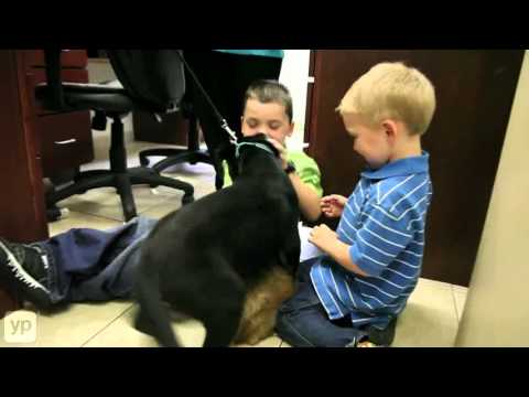 Emergency Pet Hospital Of Orlando | Veterinarian Orlando, FL