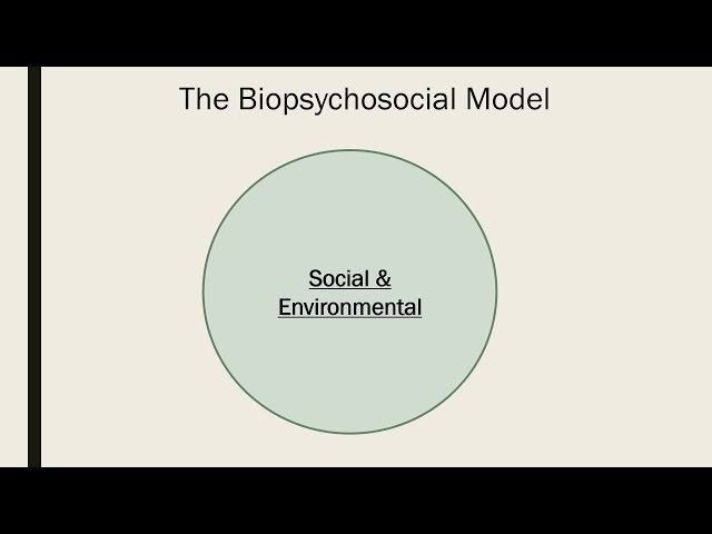 Understanding the Biopsychosocial Model: A Holistic Approach to Health | Galaxy.ai | Galaxy.ai