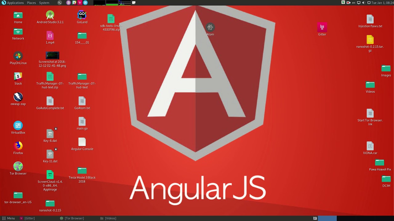 Installing Angular Console