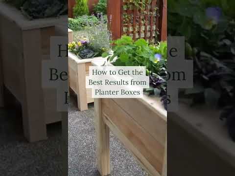 5 Easy Tips for Gardening in Planter Boxes 🍓🥒👇