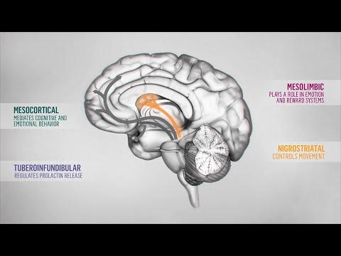 Understanding TD