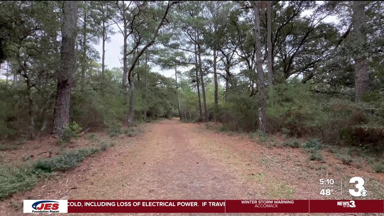 Outer Banks volunteers join effort in searching for missing man, dog in Buxton