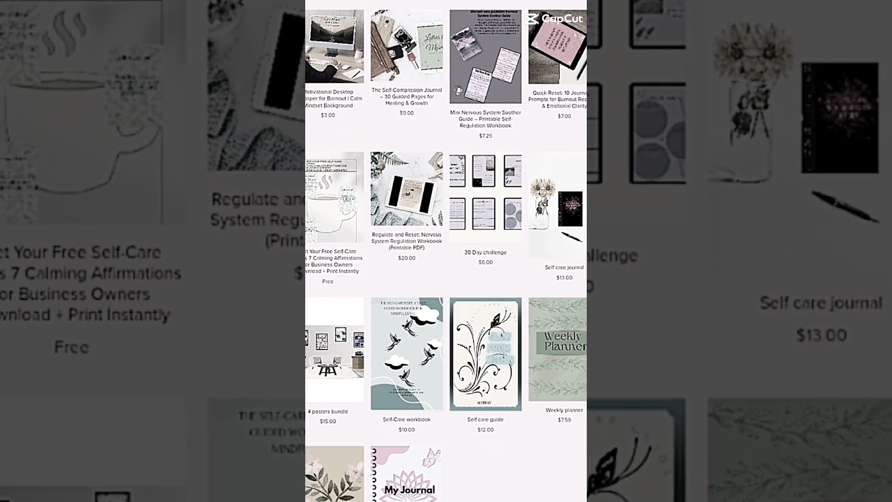 Quick Payhip Store Showcase