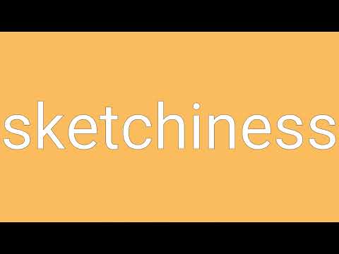Sketchiness Definition & Meaning