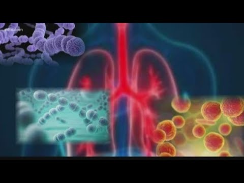Pneumonia: how you catch it, how it affects
