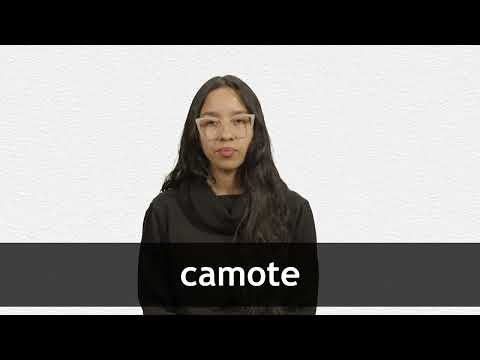 English Translation of “CAMOTE” | Collins Spanish-English Dictionary