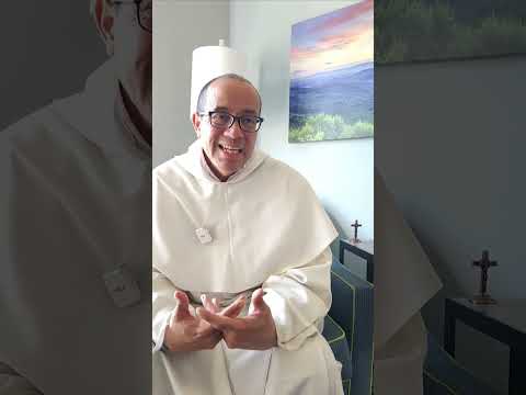 LA GRACIA 2025/01/04 Examina tu vida cristiana – Casa para tu Fe Católica