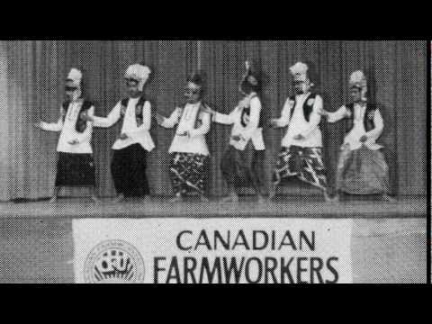 Labour of Love: Bhangra + Worker's Rights Vancouver
