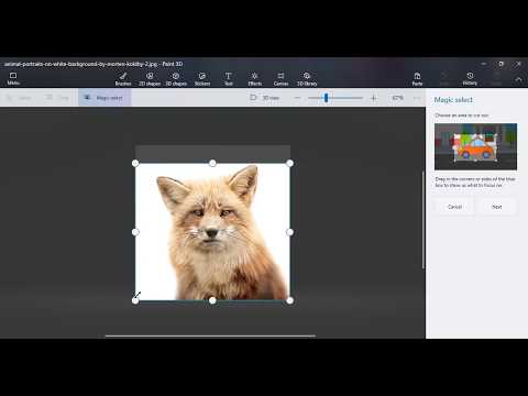 Paint 3D: How to remove white background from a Picture to make it transparent
