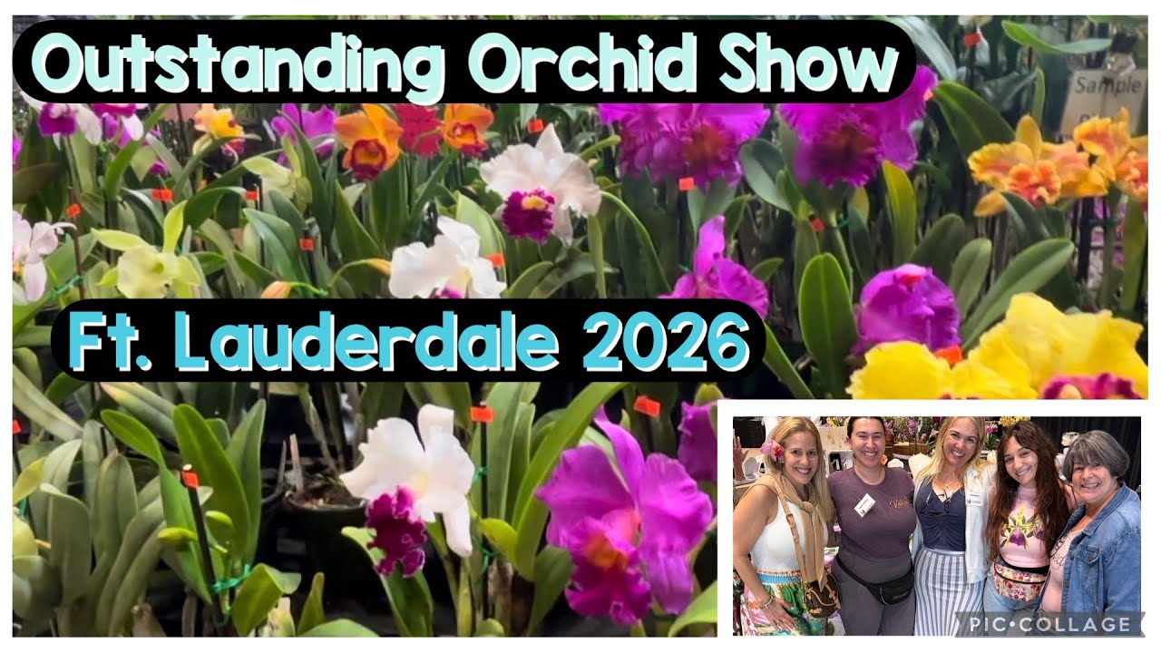 Ft. Lauderdale Orchid Show 2026/ Extensive Coverage of Gorgeous Orchids for Sale!  Part 1