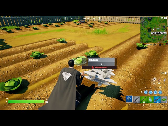 Where to find and collect foraged items at Corny Complex in Fortnite ...