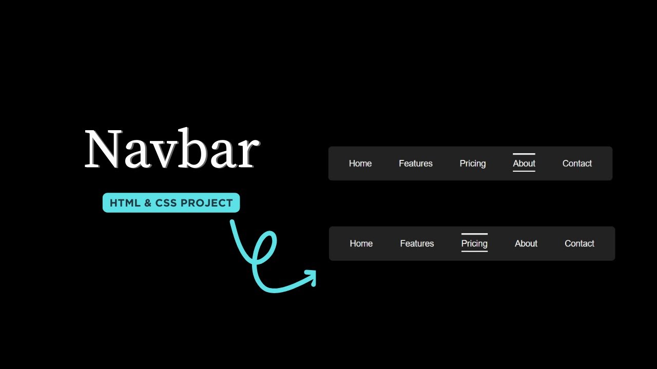 Navbar with Hover Effects Using HTML & CSS | Beginner Friendly
