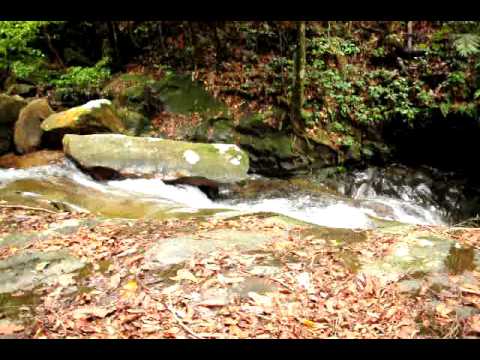 Waterfall @ Kubah National Park Kuching