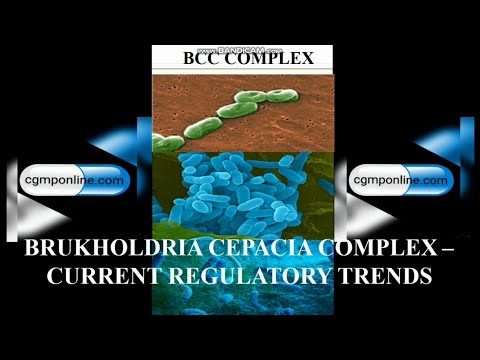 Burkholdoria cepacia - a cGMP update