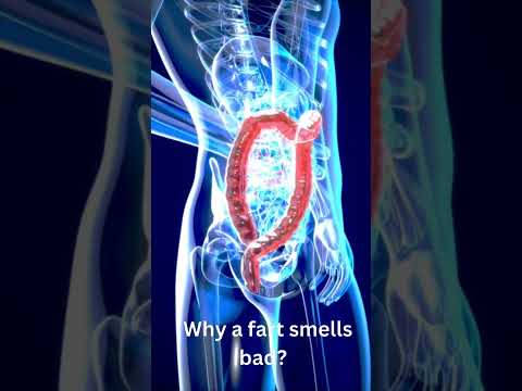 Why a fart smells bad #trending