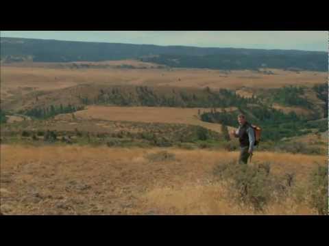 Thorp Moraine - Roadside Geology