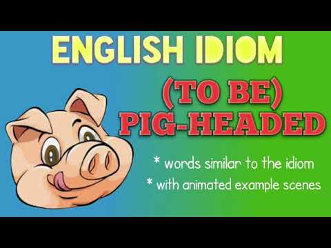 English idiom : (To be) pig-headed