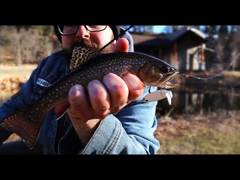 Most Accessible Areas to Fish in Custer State Park.