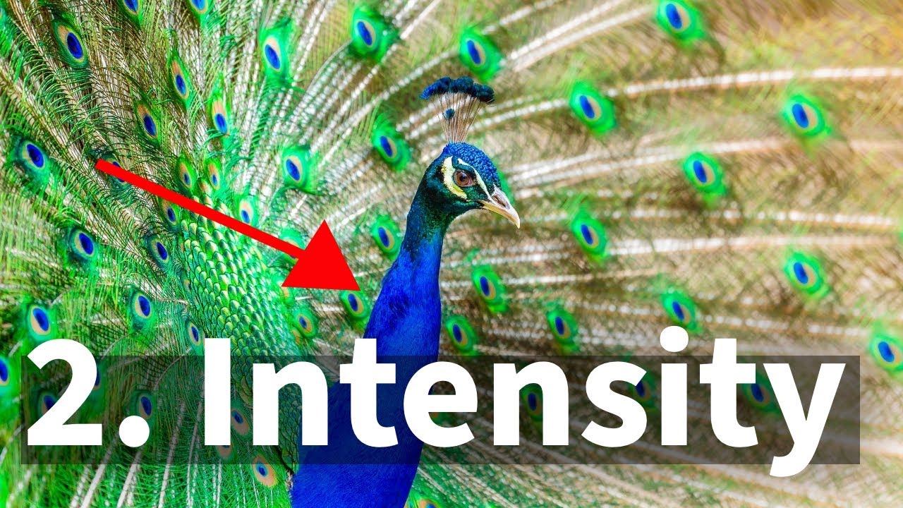 5 Reasons People INSTANTLY Recognize INFJs