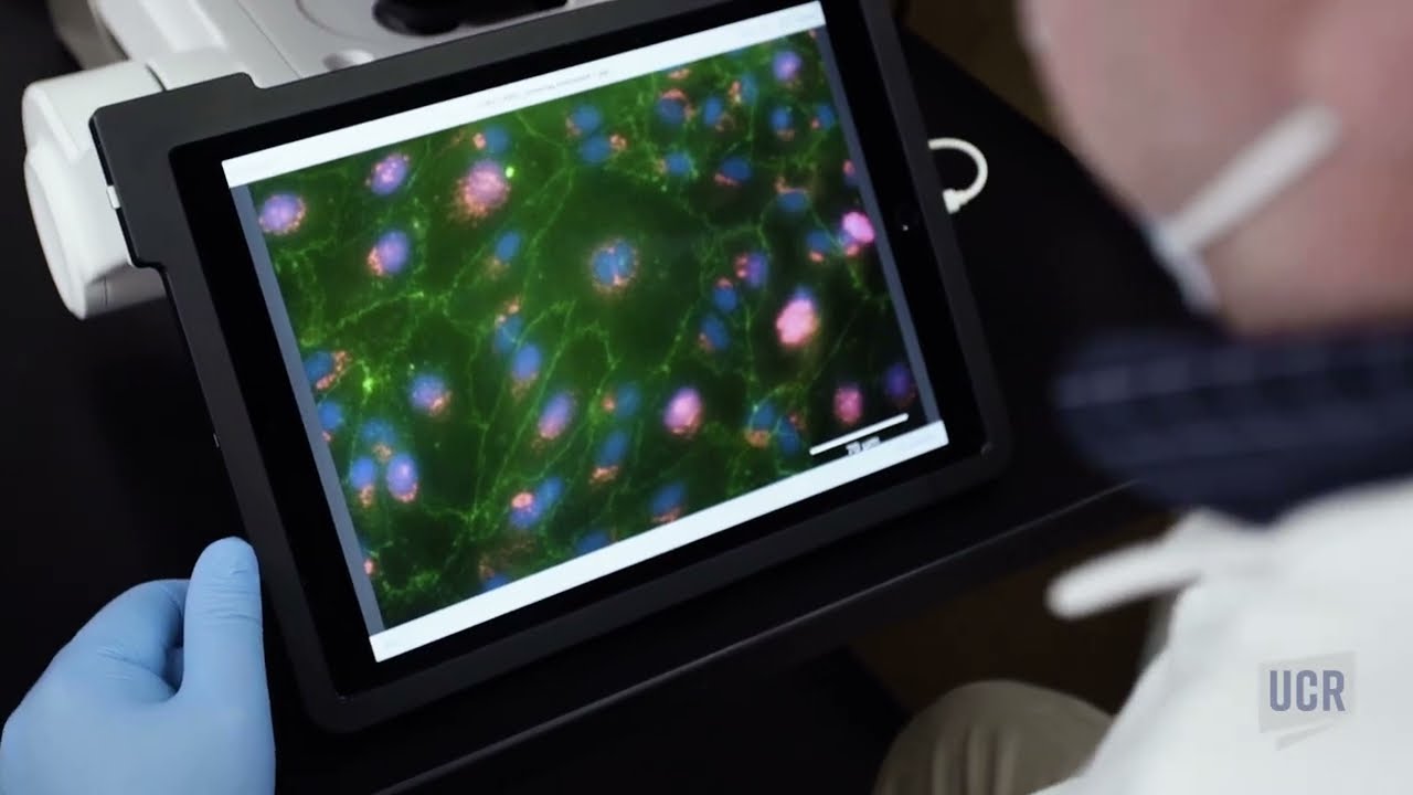 UC Riverside Life Sciences Incubator Tour