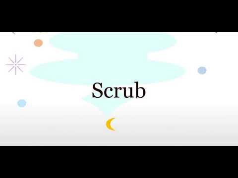Scrub ( meaning + pronunciation + images )