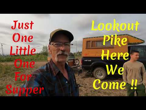 Northern Pike Fishing, Camp Cooking, Road Trip Into The Wild ! Four Days R&R & A Big One !! S4,E49