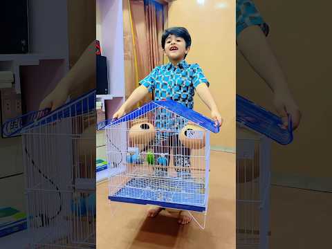 Shaheer real parrots🦜le aaya #shorts #shortvideo #parrot #shaheerjutt