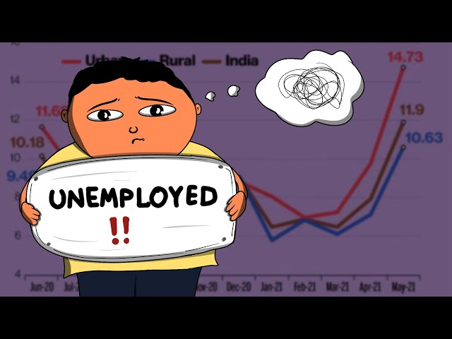 Understanding Employment Dynamics: Growth, Informalisation, and ...