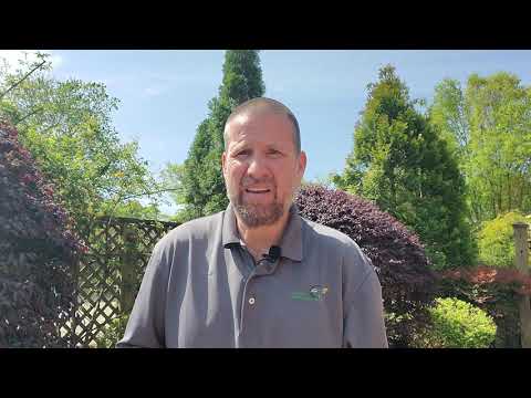 "Choosing Between Grass Seed or Sod: What's Right for You?