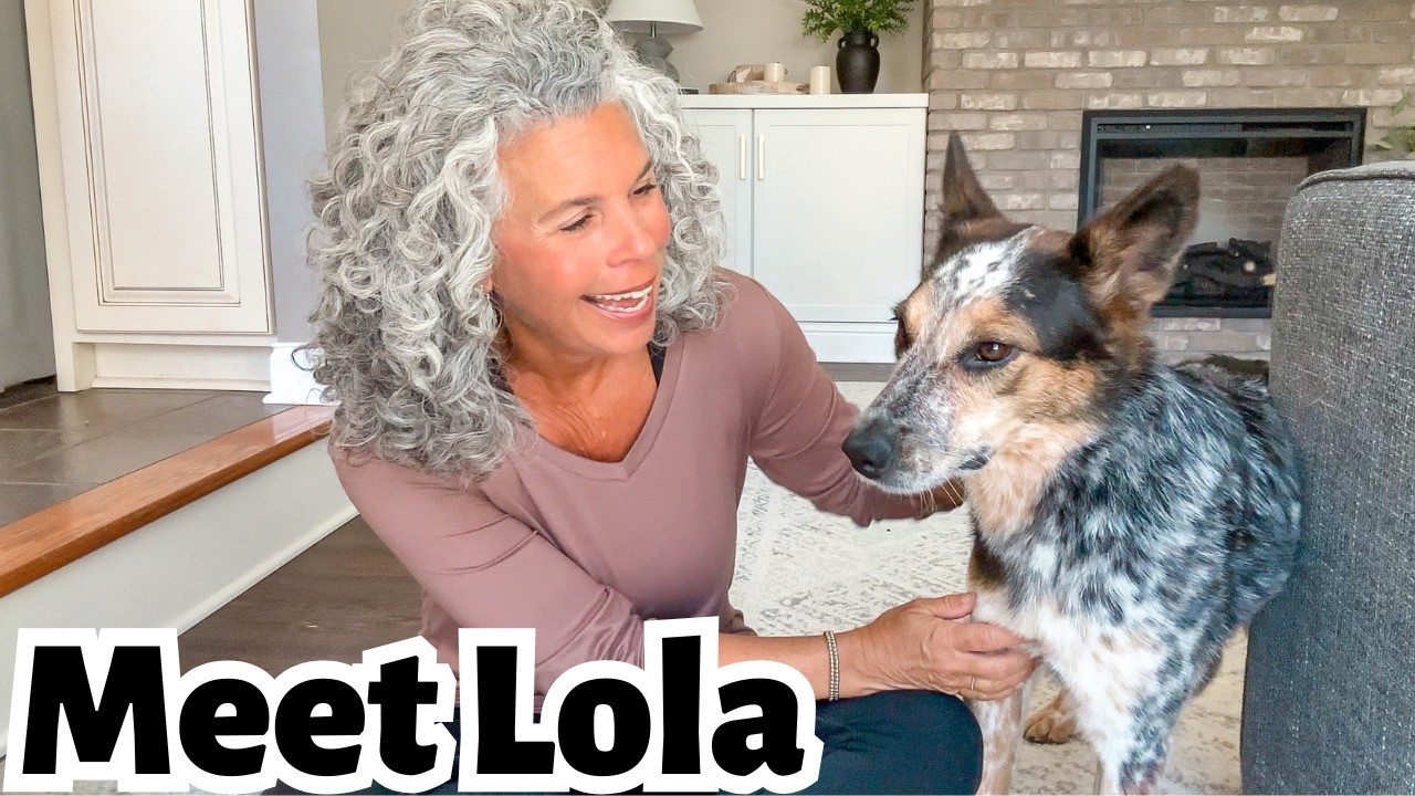 Meet Lola...Our Rescue Dog from Mexico🐾