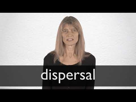 DISPERSAL——含义、同义词和翻译| 柯林斯英语词典资源