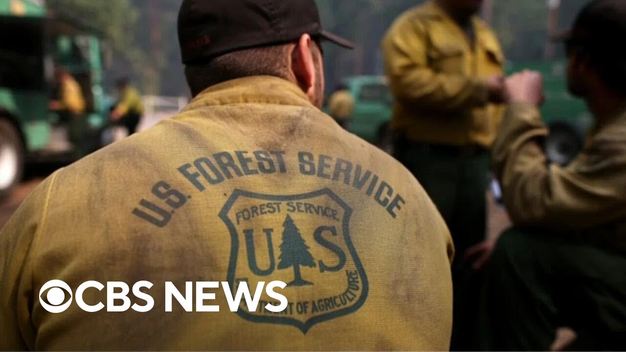 Trump administration to move U.S. Forest Service HQ and shutter research facilities in 31 states
