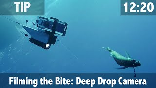 Ultimate Fishing