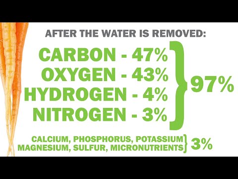 What are the components of a Healthy Plant?