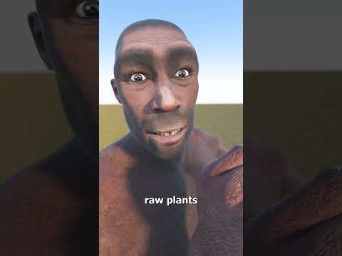 Why Our Ancestors Didn’t Wipe 🤔