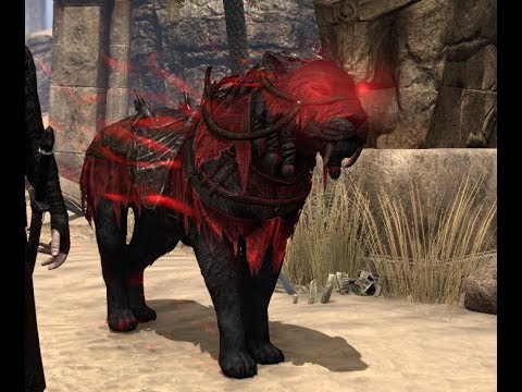 Shadow-Rider Senche Showcase — Elder Scrolls Online