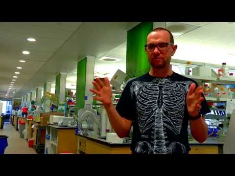 Zan Media presents Healthspan vs. Lifespan