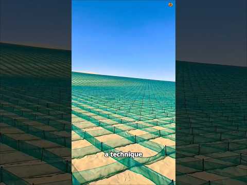 How China Is Transforming the Mongolian Desert into a Forest! ????️????