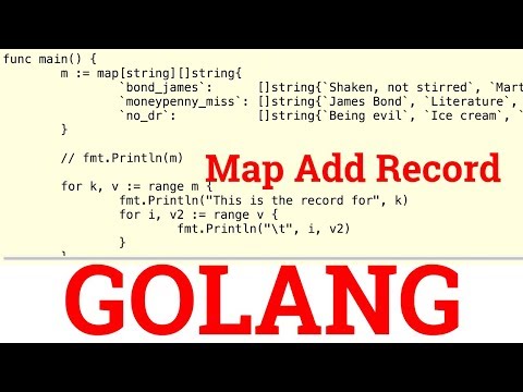 Hands-On Golang Exercise - Map Add Record