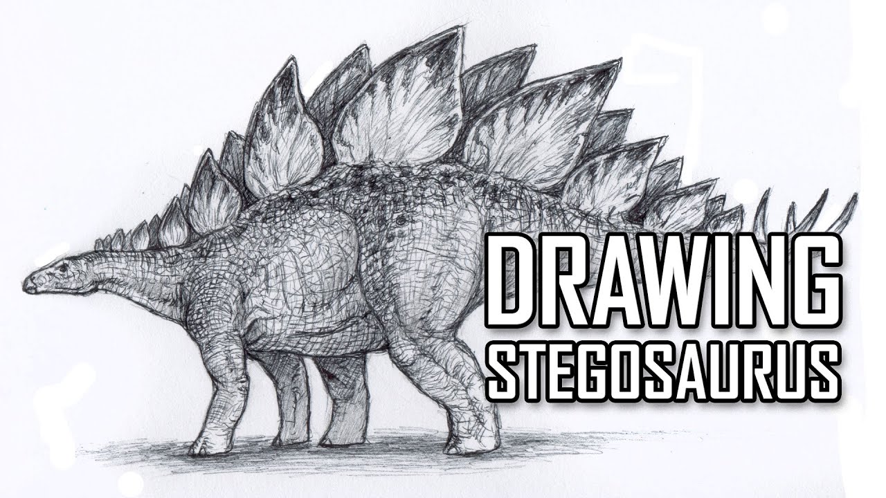 Drawing Stegosaurus Using Ballpoint Pen - Timelapse
