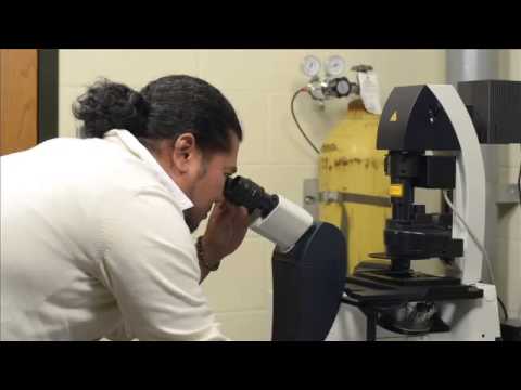 GNG Career Videos: Molecular Biology & Research