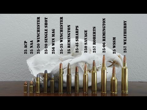 Complete Guide to 25 Caliber Cartridges | 25 ACP, 25-06, 257 Weatherby, 250 Savage, & More!