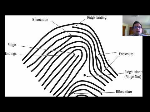 2. Fingerprinting Introduction