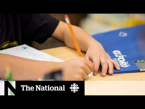Ont. releases ‘back to basics’ math curriculum